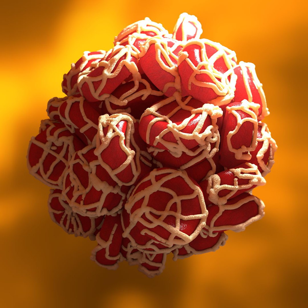 3d model clotted coagulated