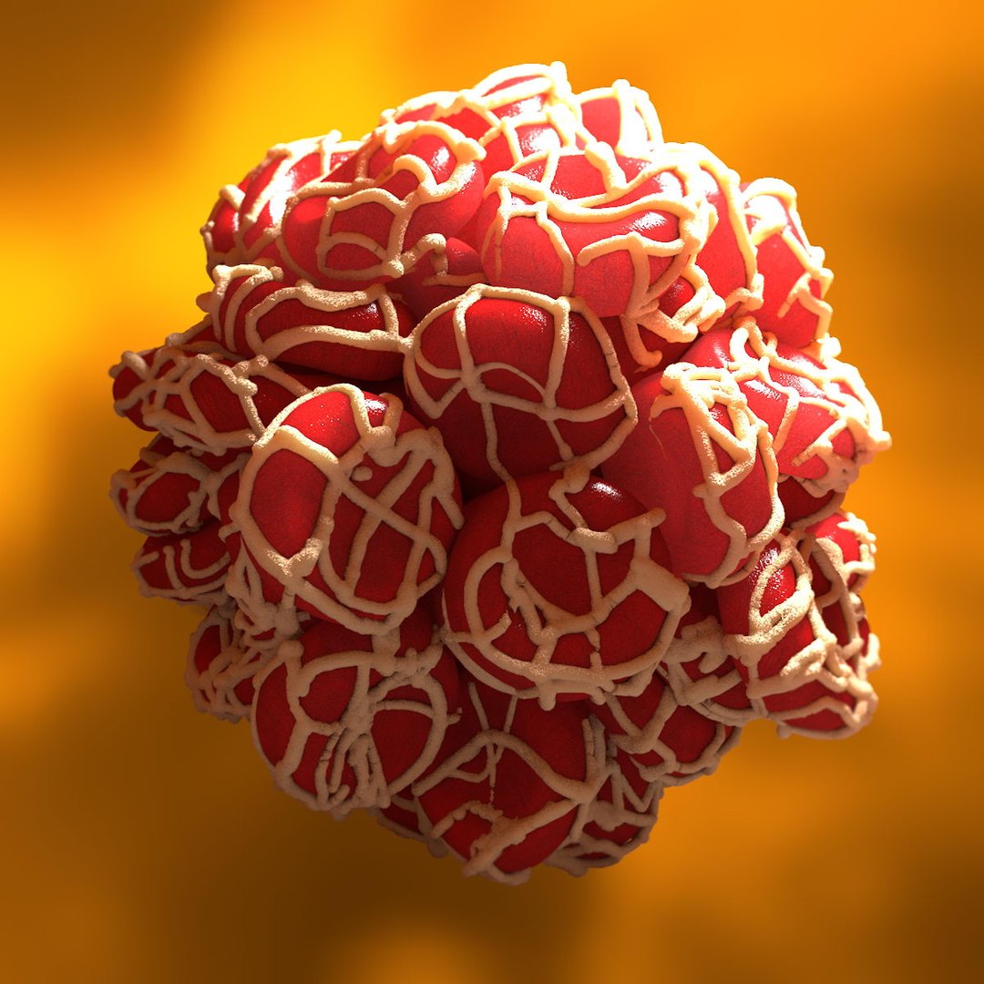 3d model clotted coagulated
