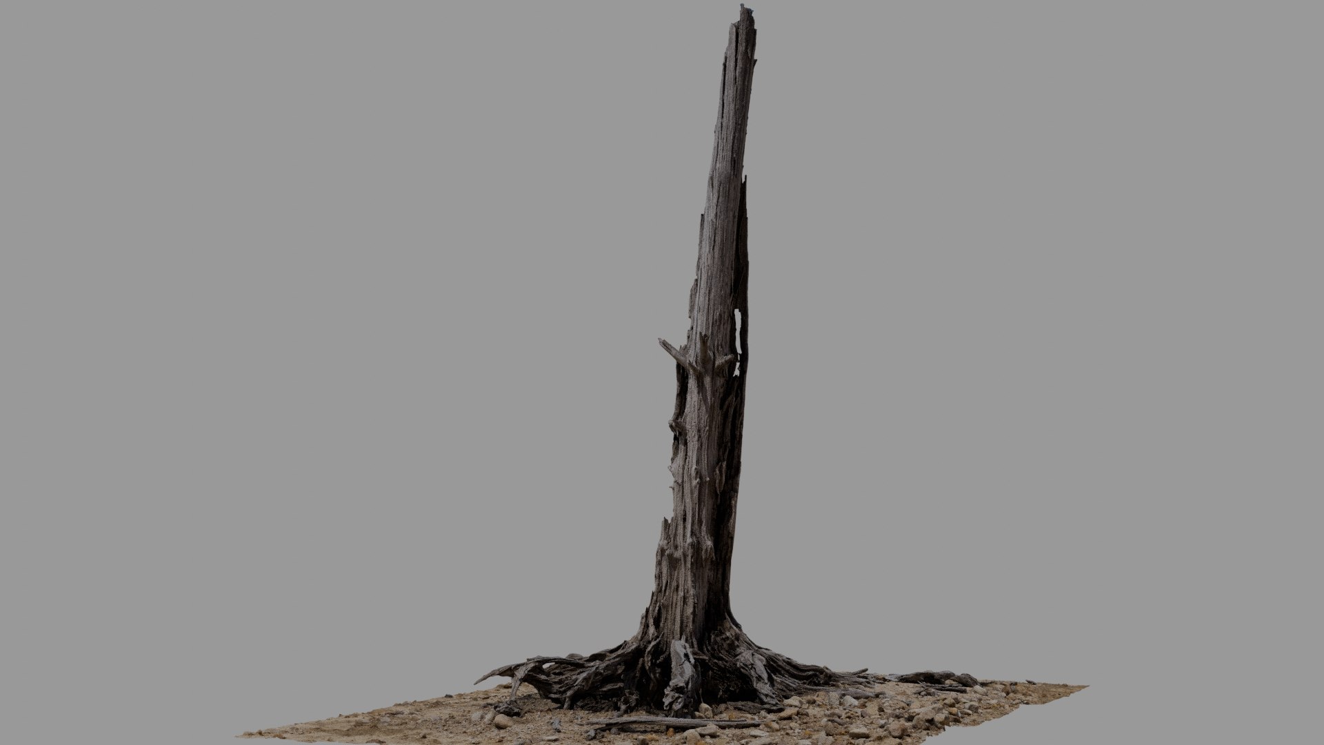 3D Model Dead Tree 018 - TurboSquid 2371318