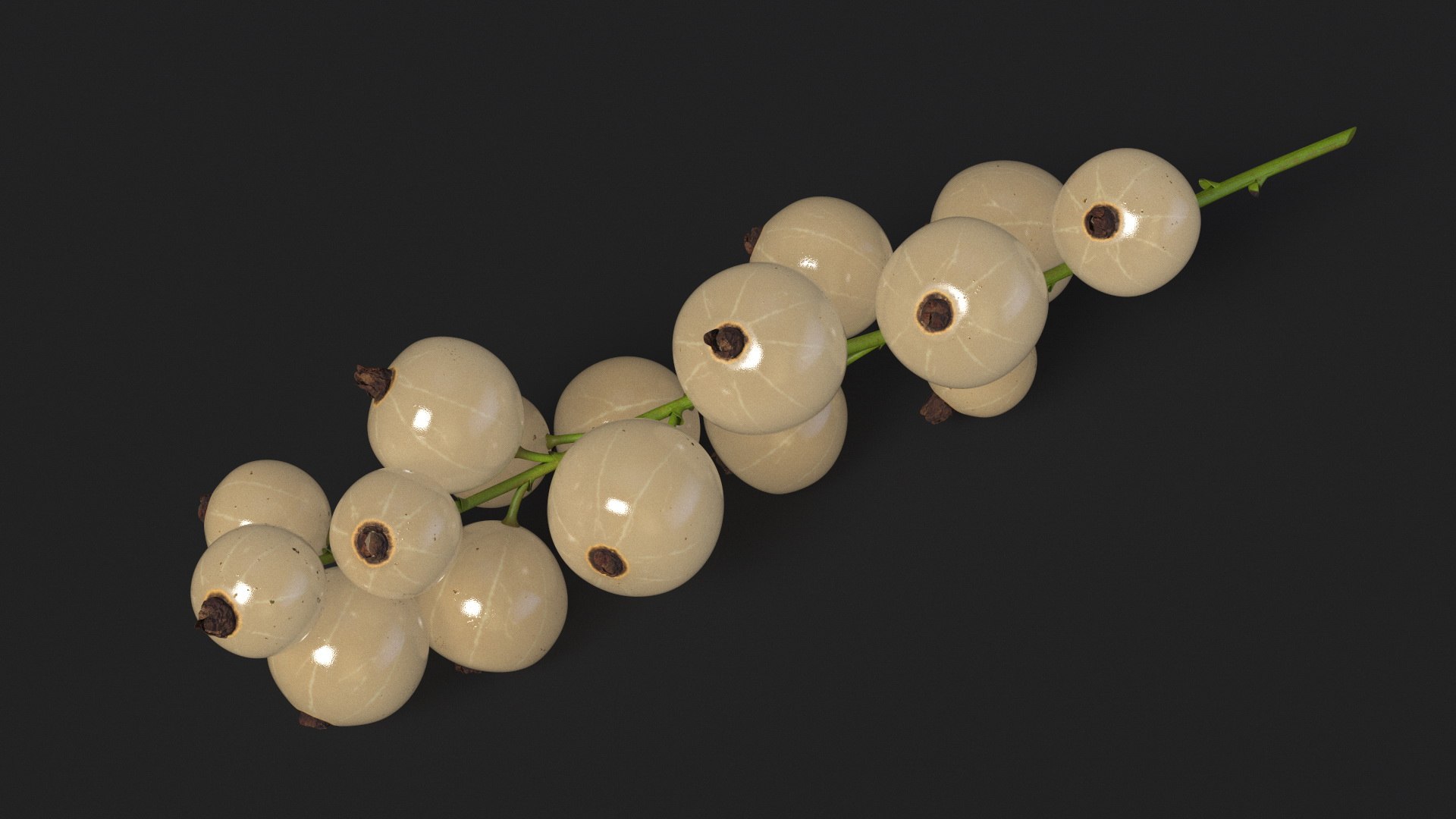 3D Model White Currant Berry Cluster - TurboSquid 2295980