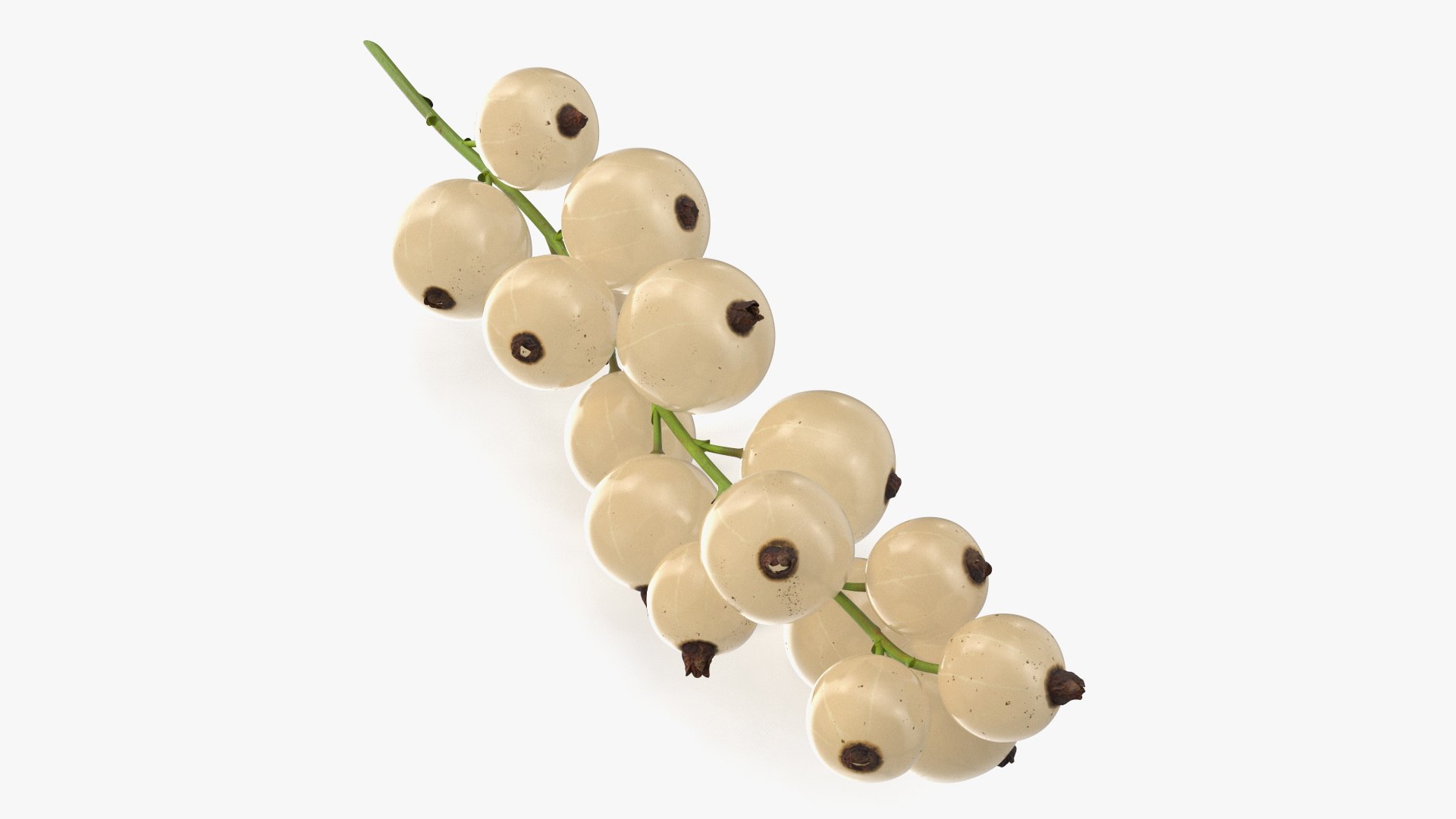 3D Model White Currant Berry Cluster - TurboSquid 2295980