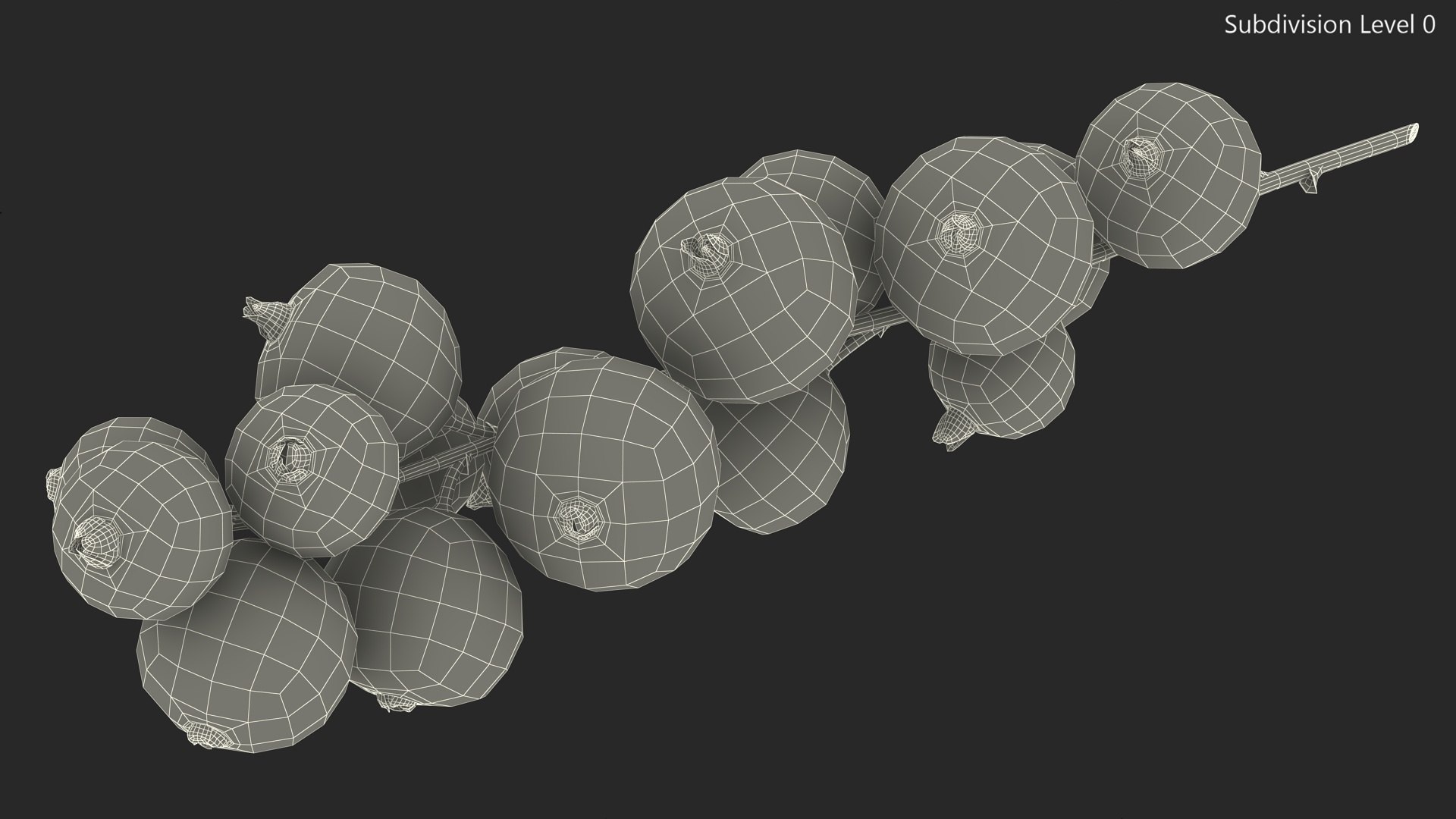 3D Model White Currant Berry Cluster - TurboSquid 2295980