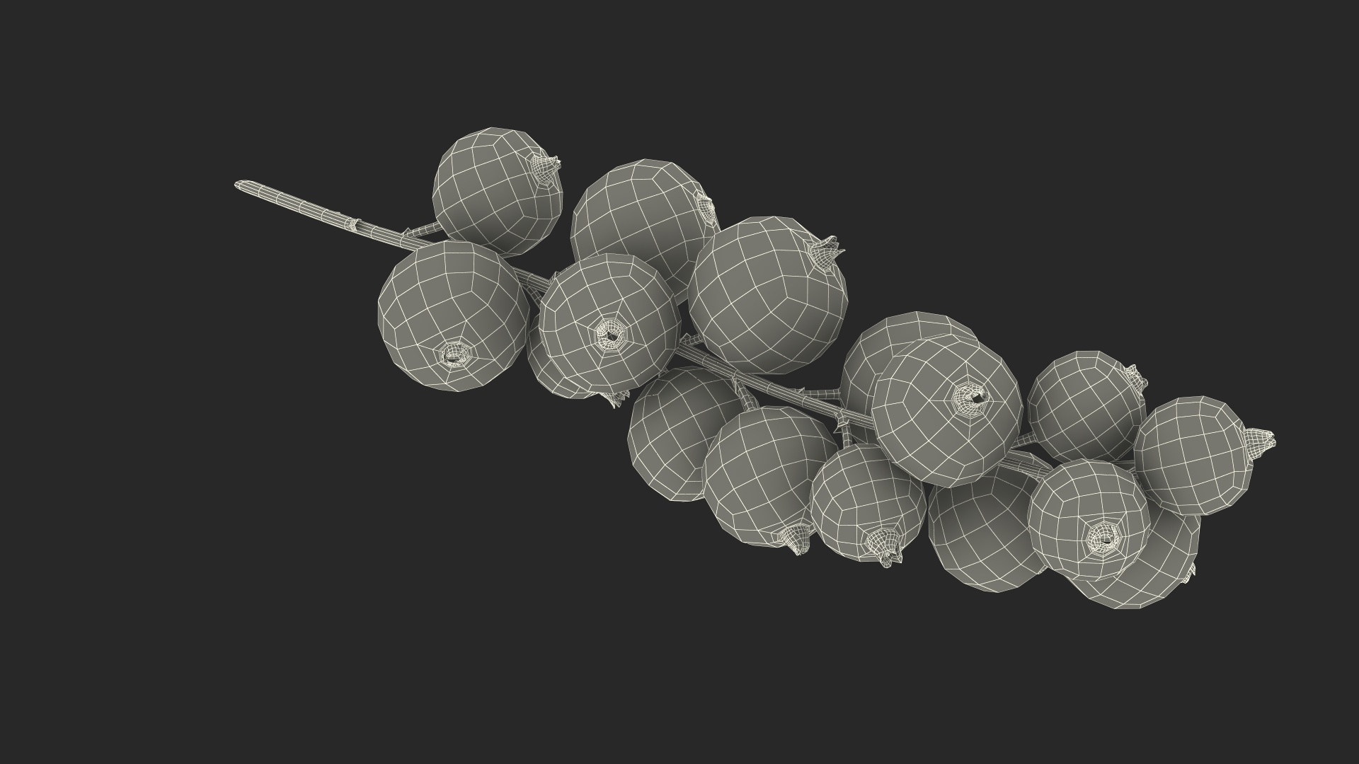 3D Model White Currant Berry Cluster - TurboSquid 2295980