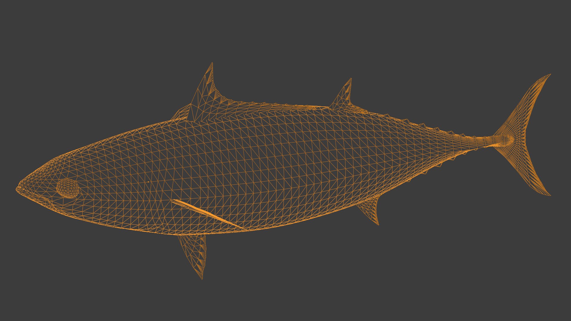 katsuwonus katuo 3d model