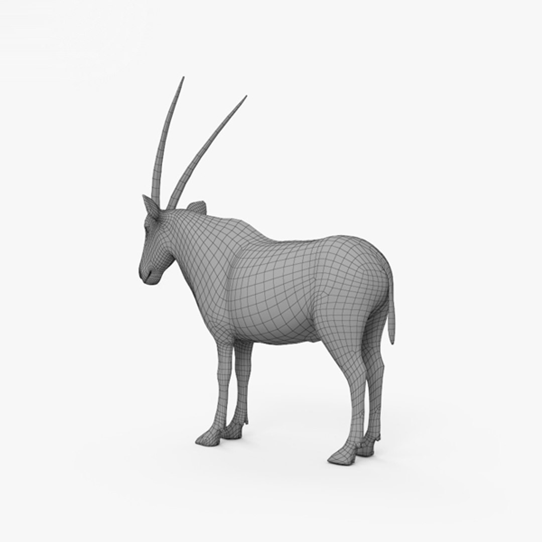 3D model oryx - TurboSquid 1578447