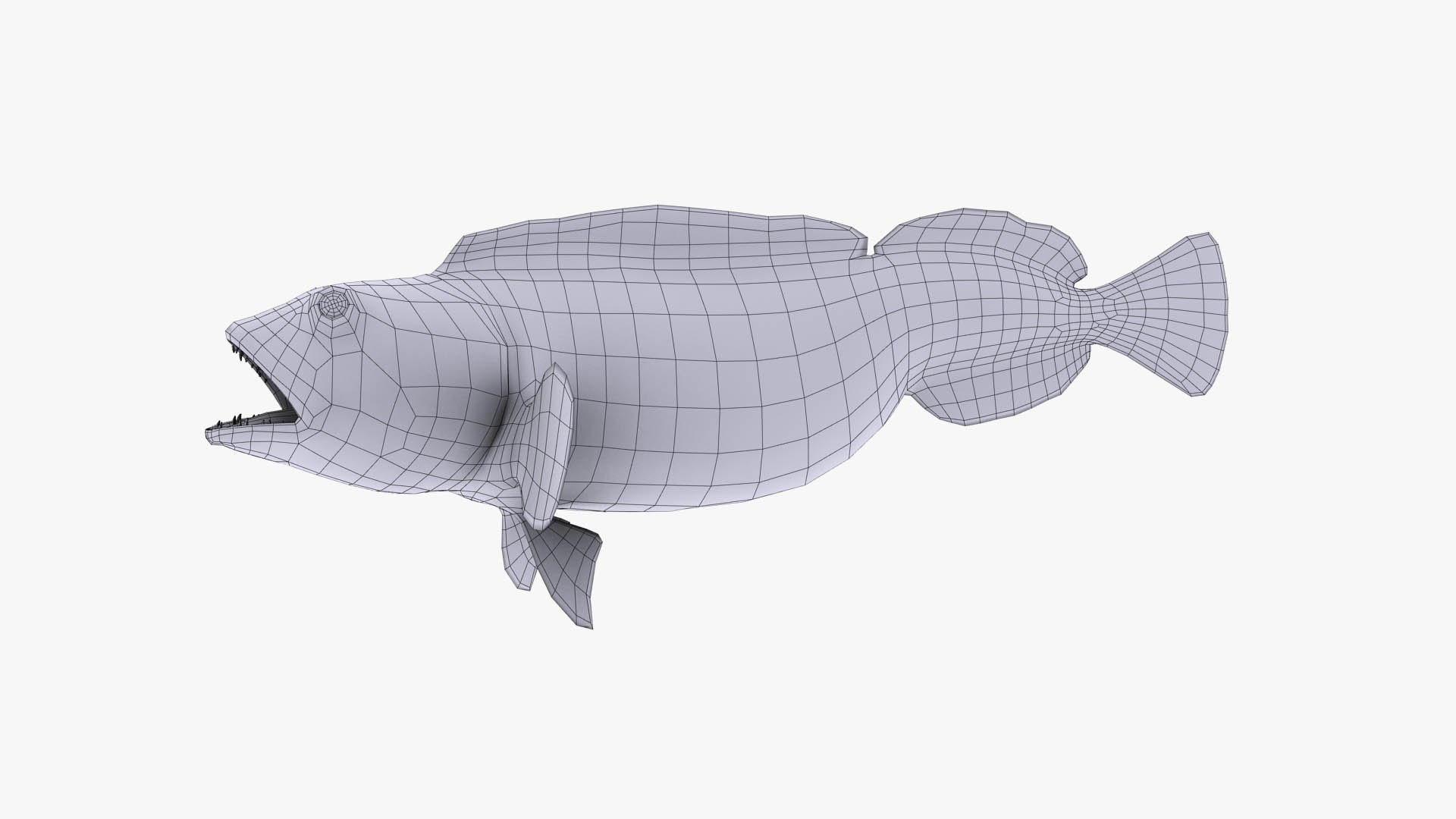 Lingcod 3D Model - TurboSquid 1963645