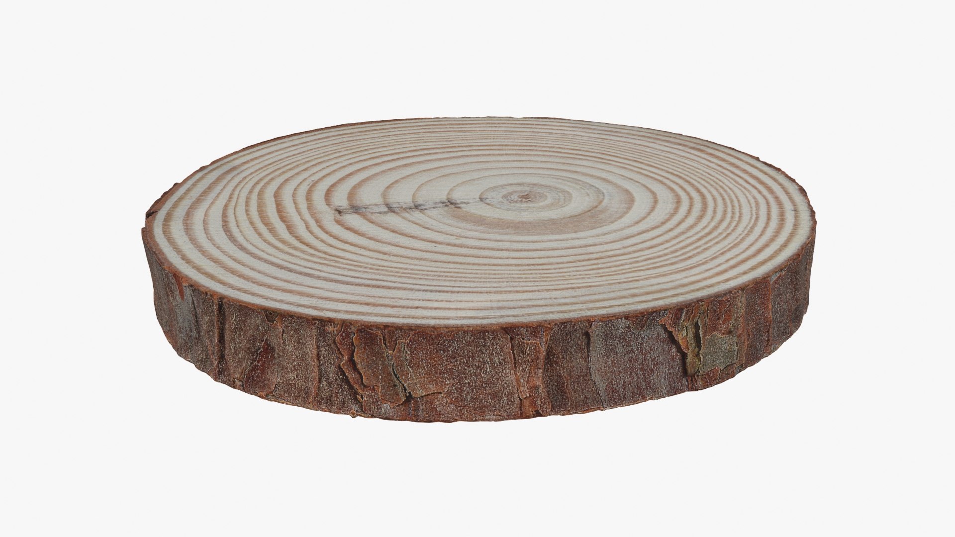 3D Wood Log Slice 03 Model - TurboSquid 2147989