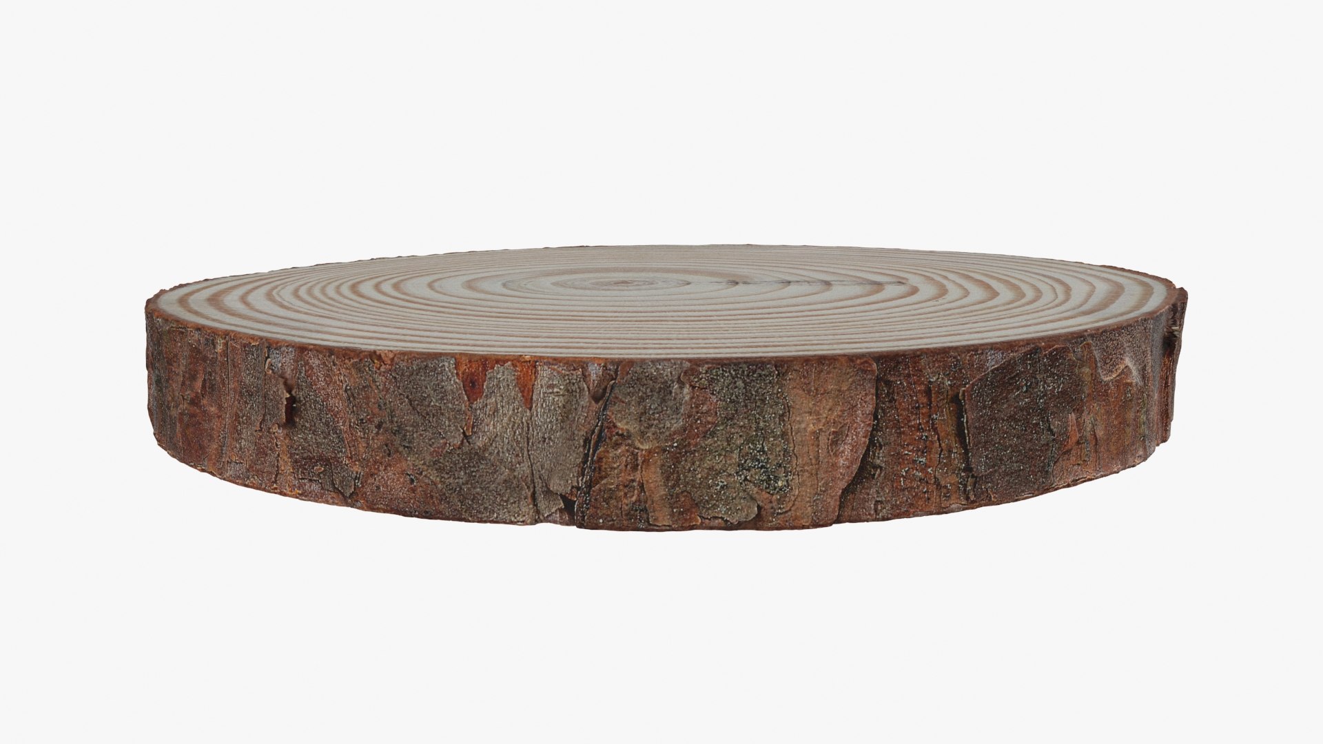 3D Wood Log Slice 03 Model - TurboSquid 2147989