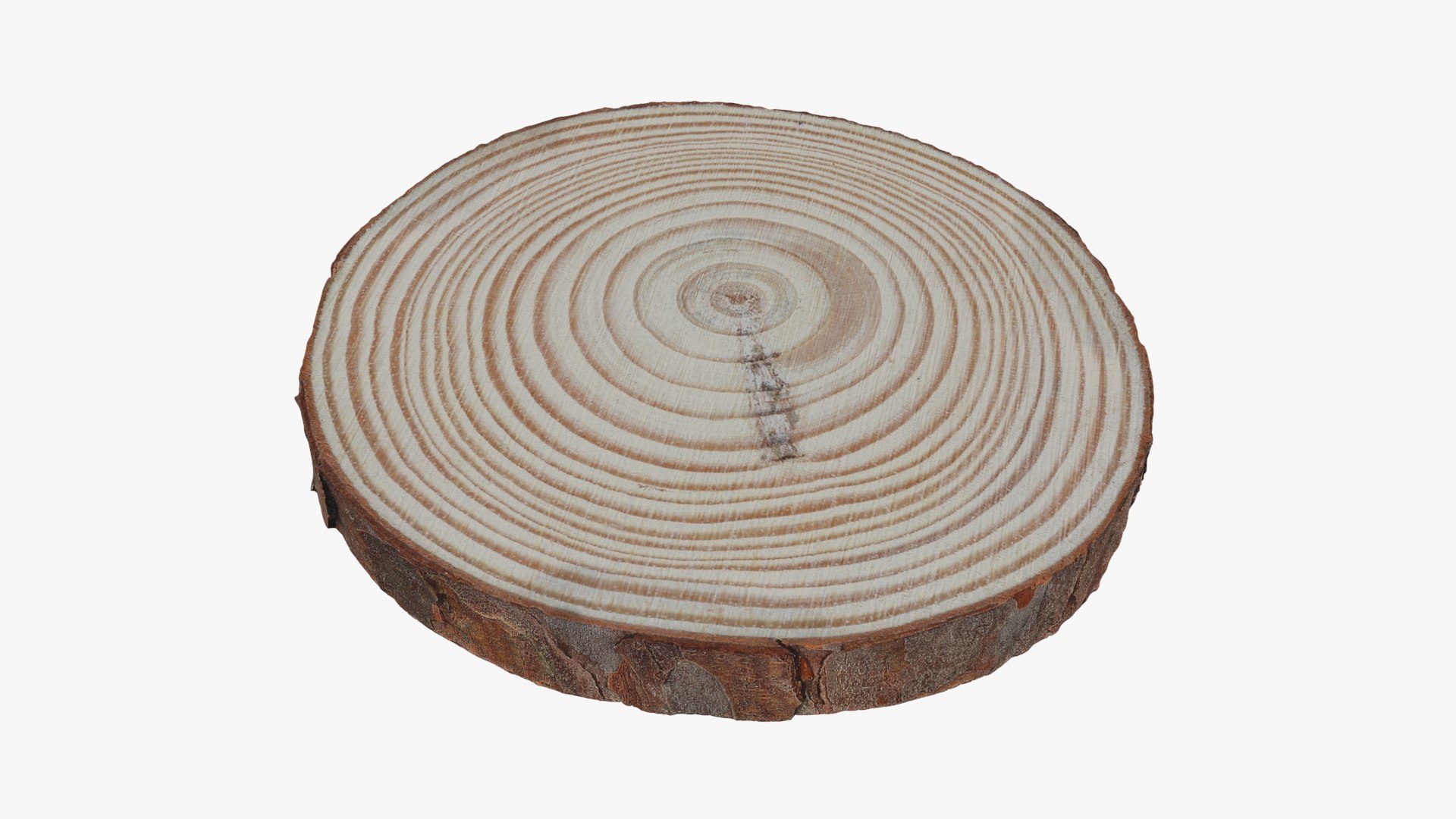 3D Wood Log Slice 03 Model - TurboSquid 2147989