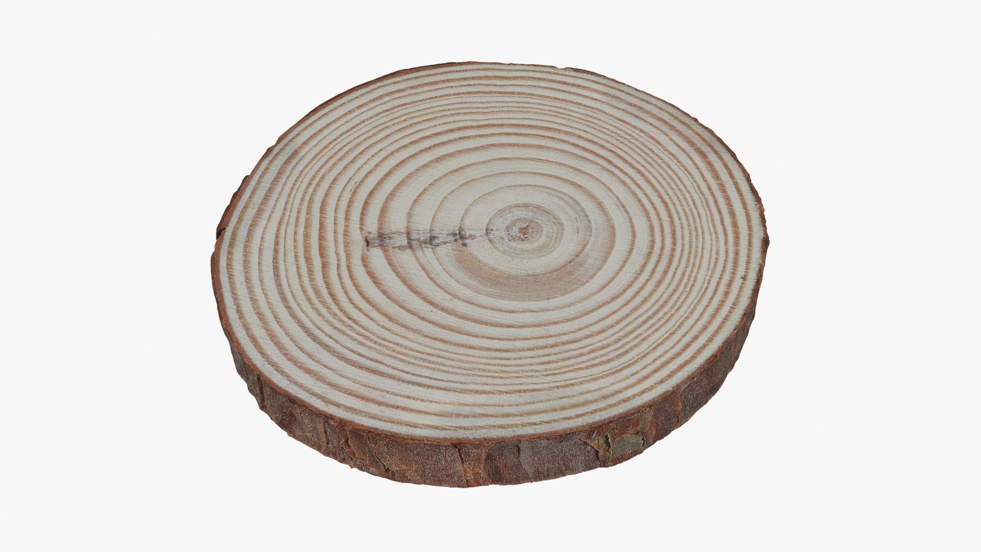 3D Wood Log Slice 03 Model - TurboSquid 2147989