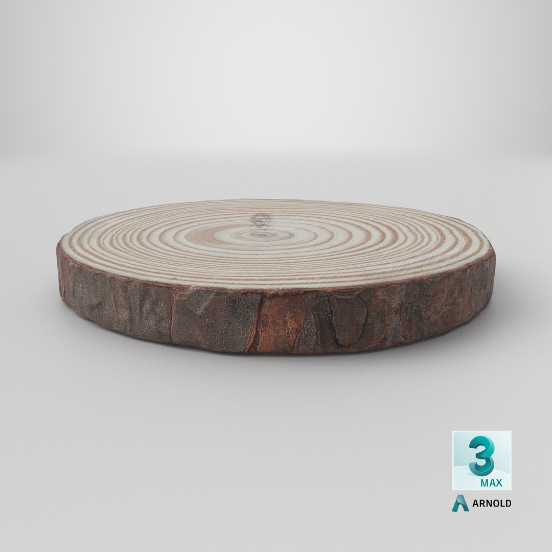3D Wood Log Slice 03 Model - TurboSquid 2147989