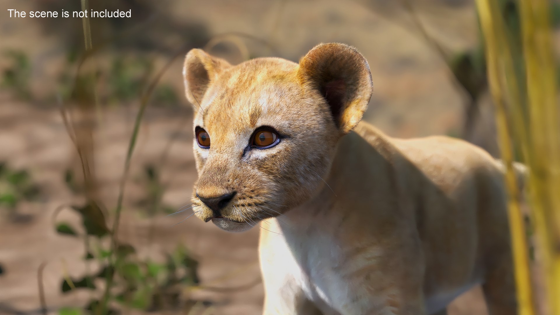 Lion Cub Fur 3D Model - TurboSquid 2335374