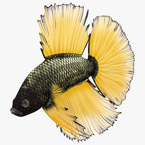 Animated 3D Bryanh13 Airport I152 Yellow Jacket Ranch Models For ...