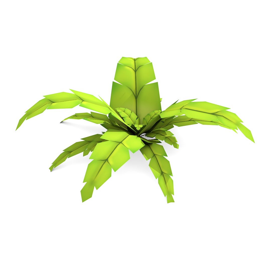 3d cartoon fern model