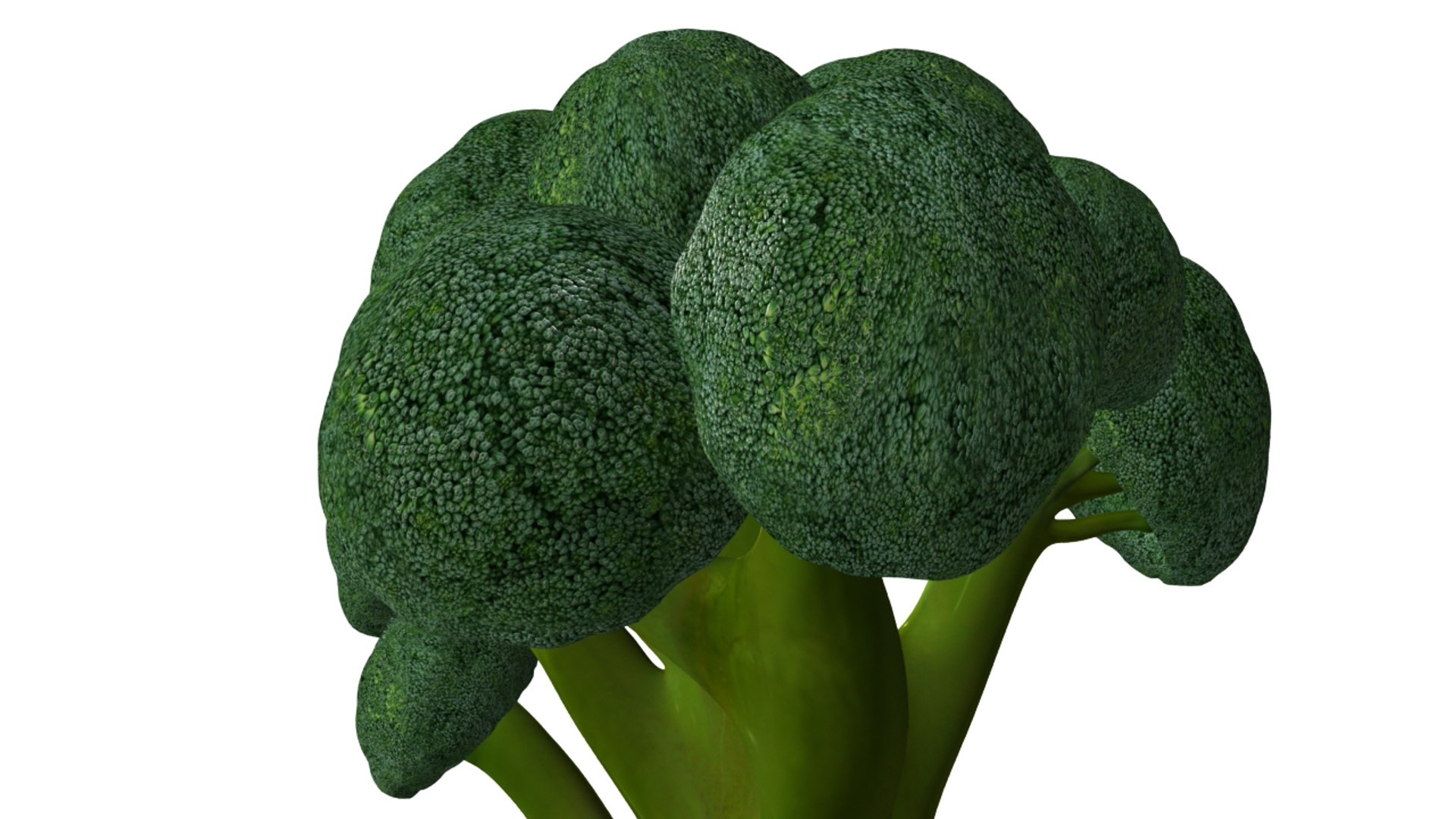 Brocolli Obj