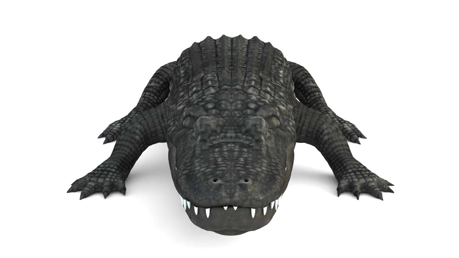 Alligator 3D Model - TurboSquid 2218693