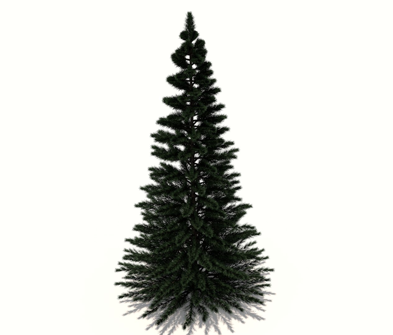 3D blue spruce tree - TurboSquid 1344301