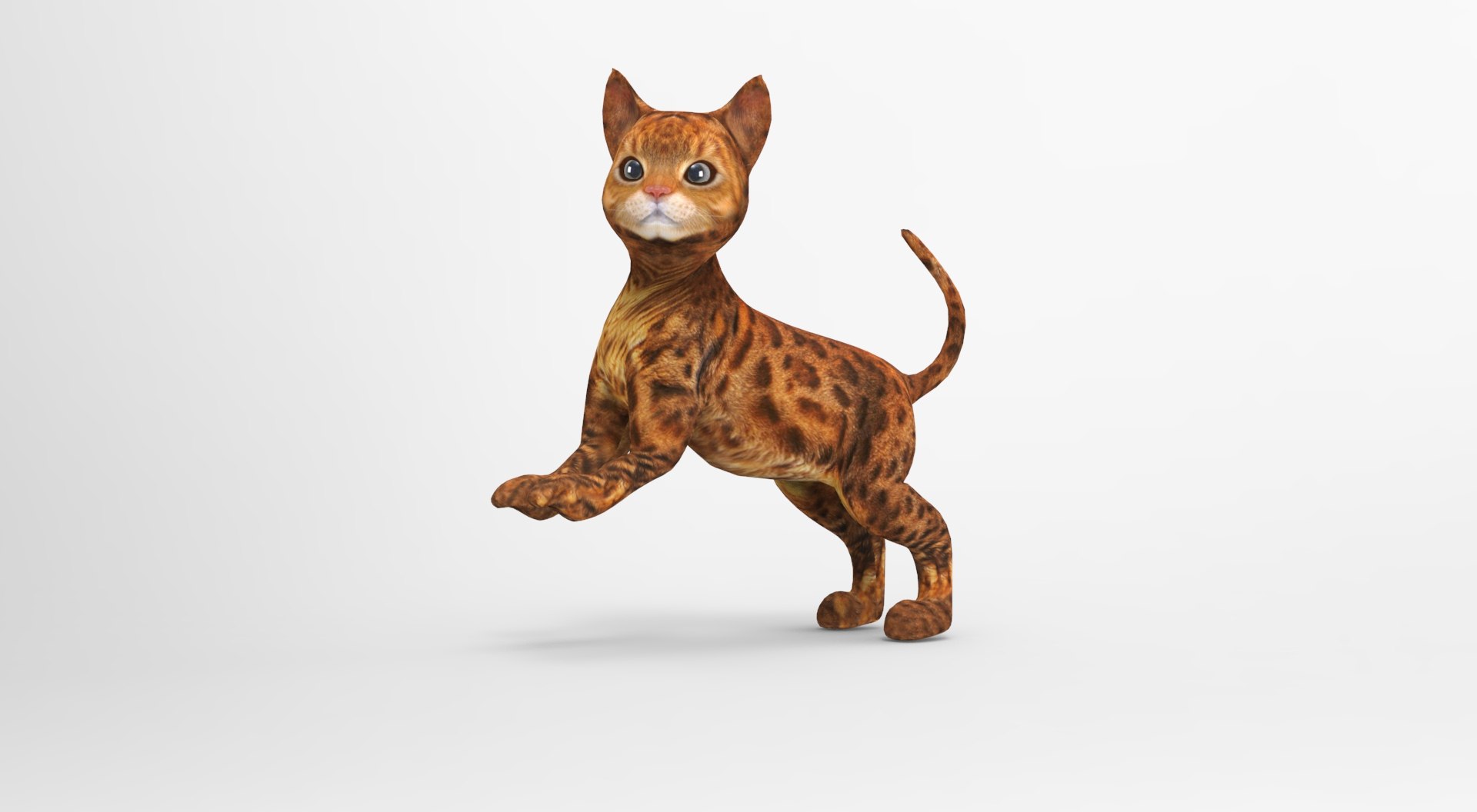 3D cat rigged animation - TurboSquid 1204217
