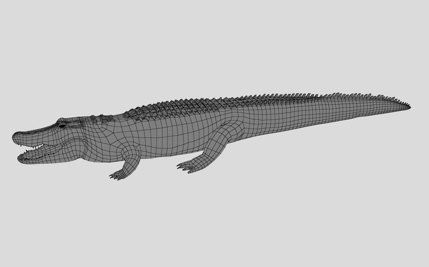 Aligator Alligator 3d Max