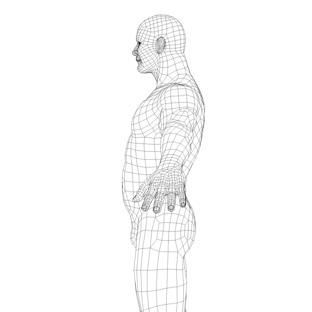 3d man human body character model