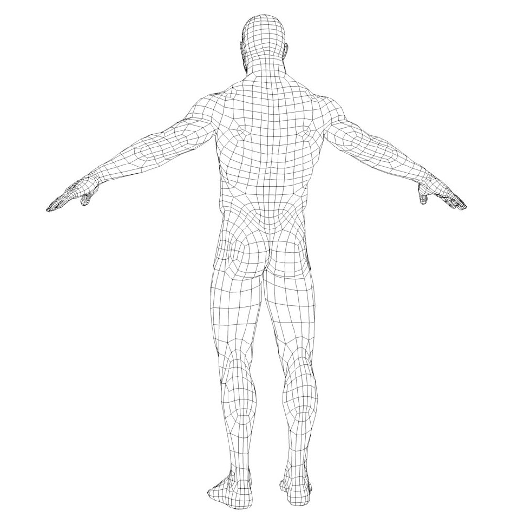 3d man human body character model