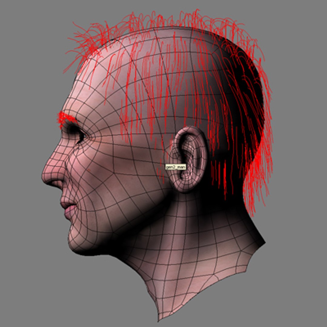 Realistic Human Head Skin 3d Obj
