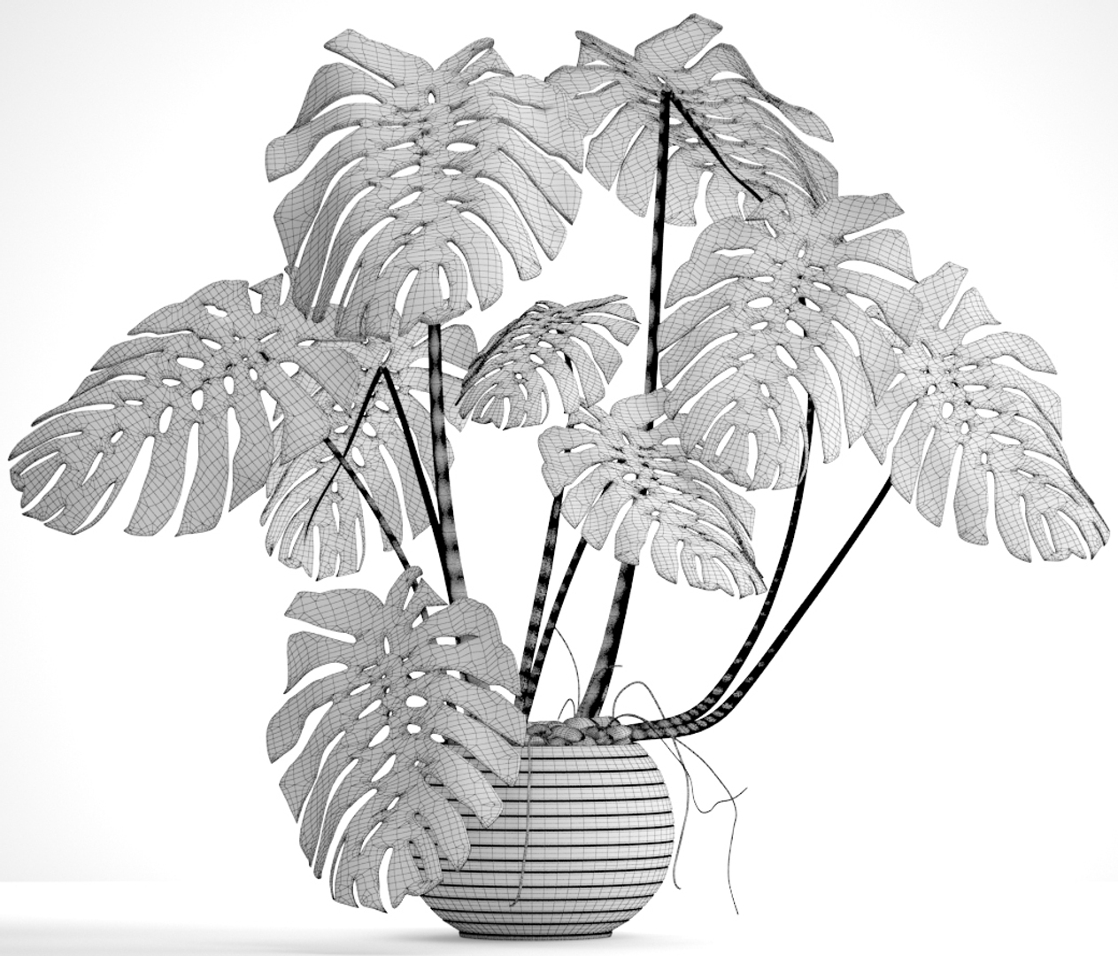 3D monstera model - TurboSquid 1161839