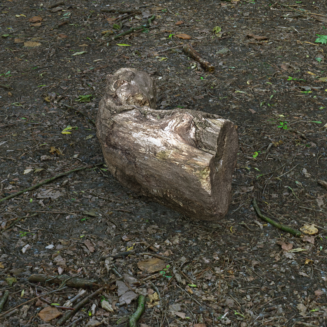 Tree Log Model - TurboSquid 1177984
