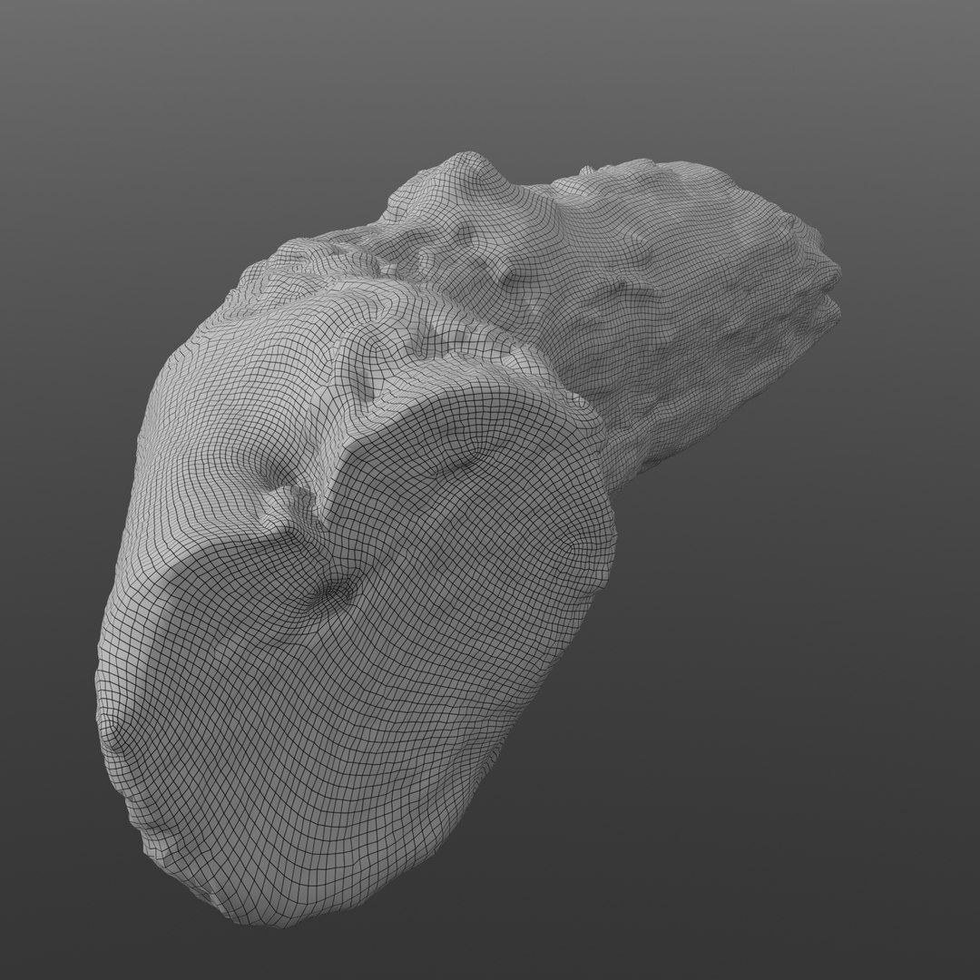 Tree Log Model - TurboSquid 1177984