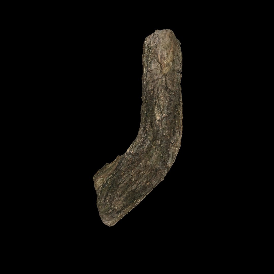 Tree Log Model - TurboSquid 1177984