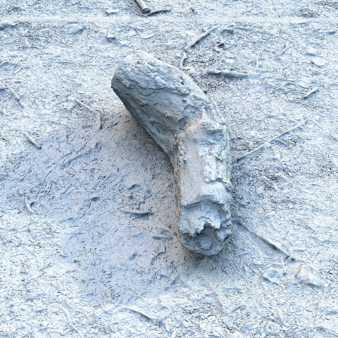 Tree Log Model - TurboSquid 1177984