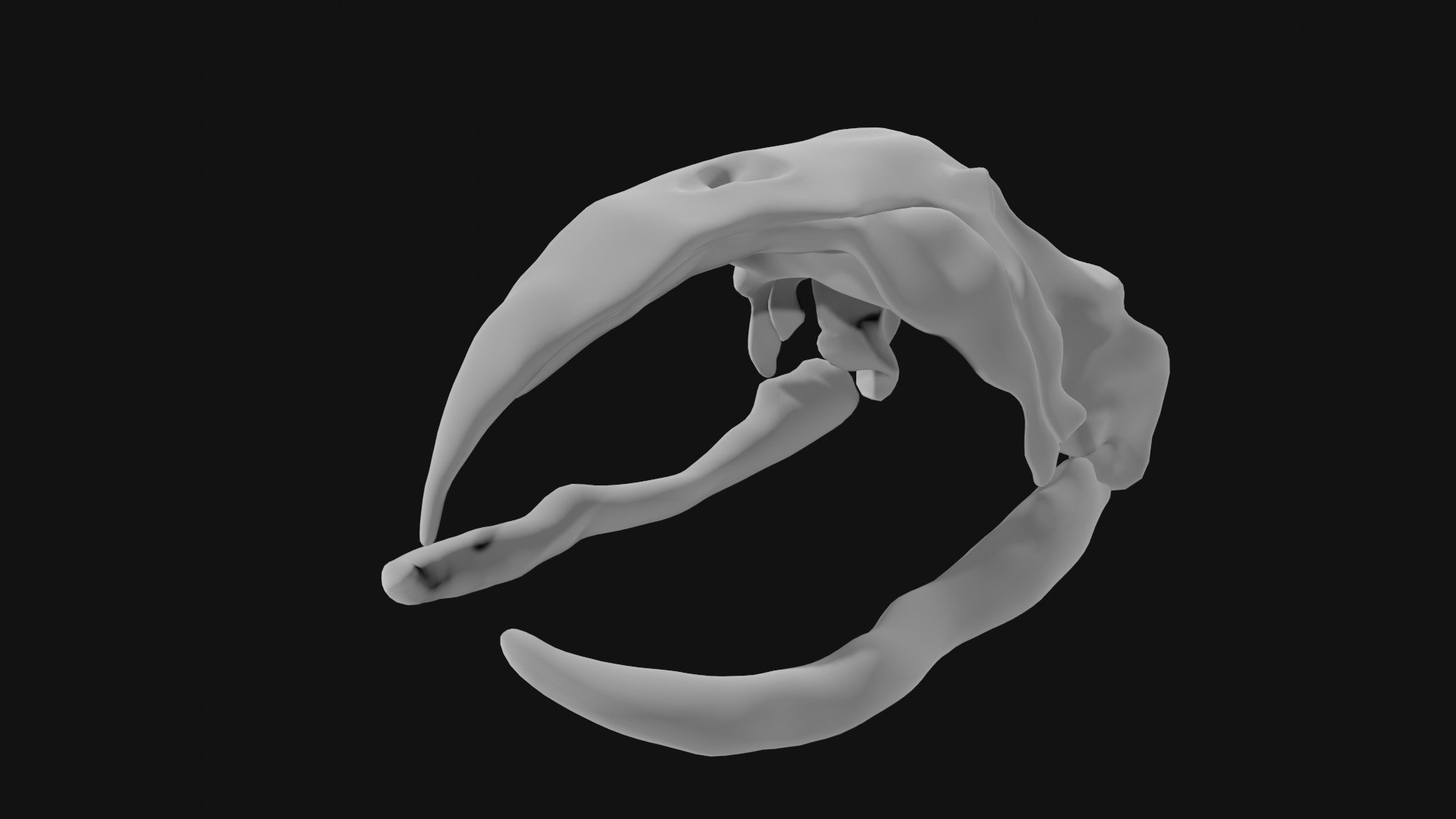Bowhead Whale Skull 3D Model - TurboSquid 1974971