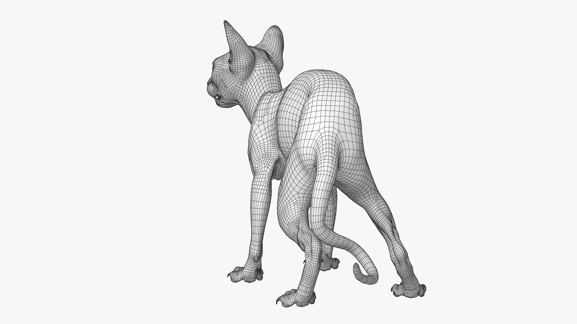 3D model sphynx cat standing - TurboSquid 1668748