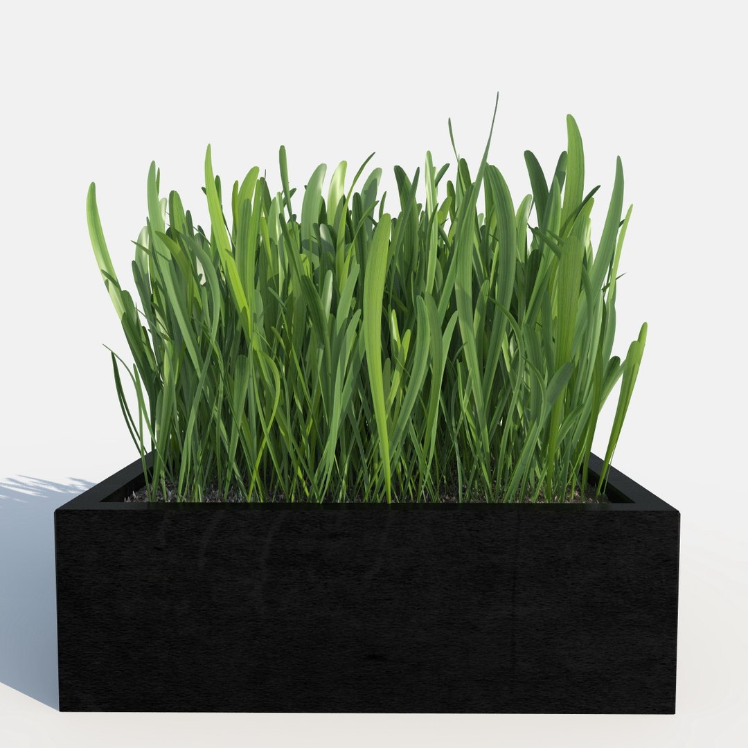 3d modern plants 2