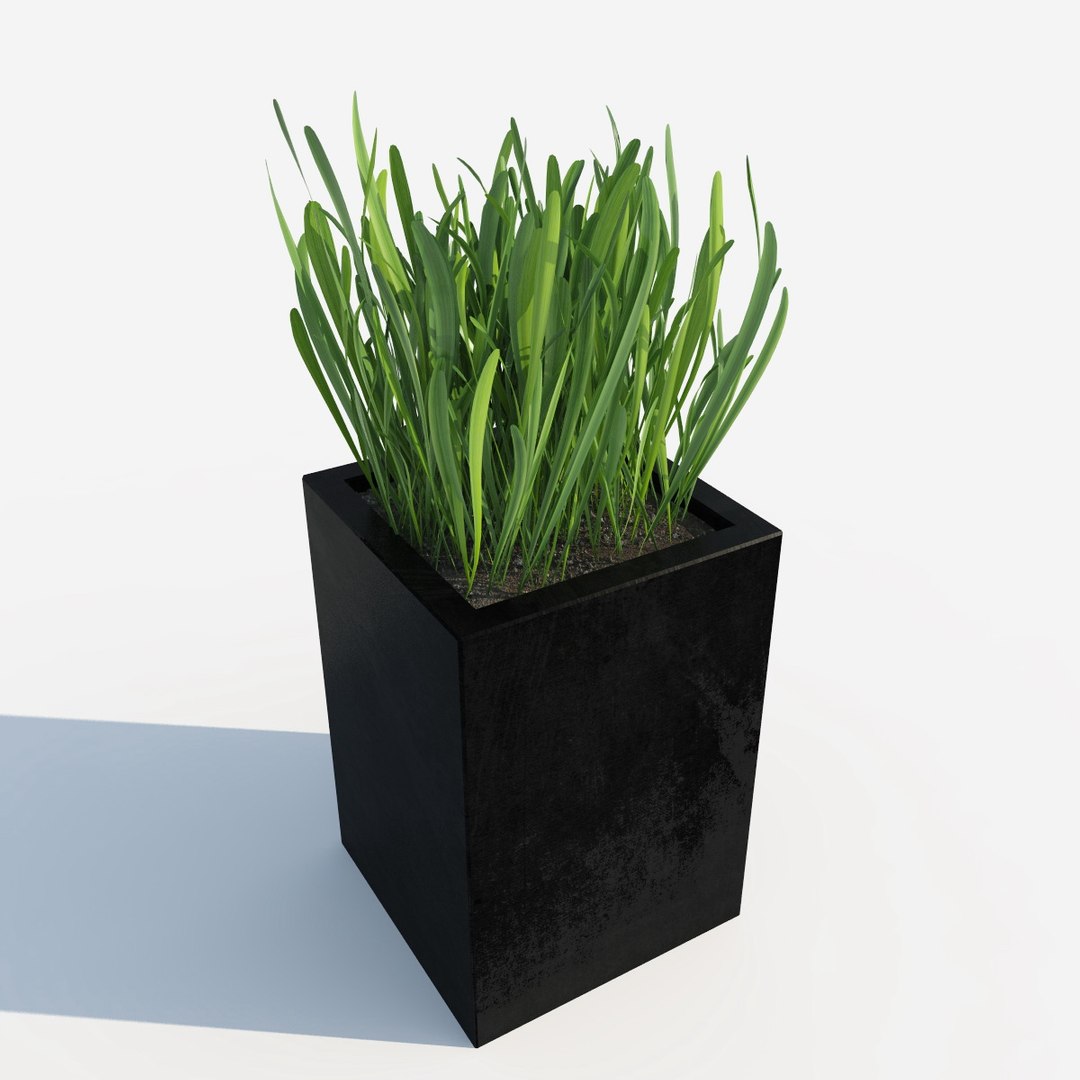 3d modern plants 2