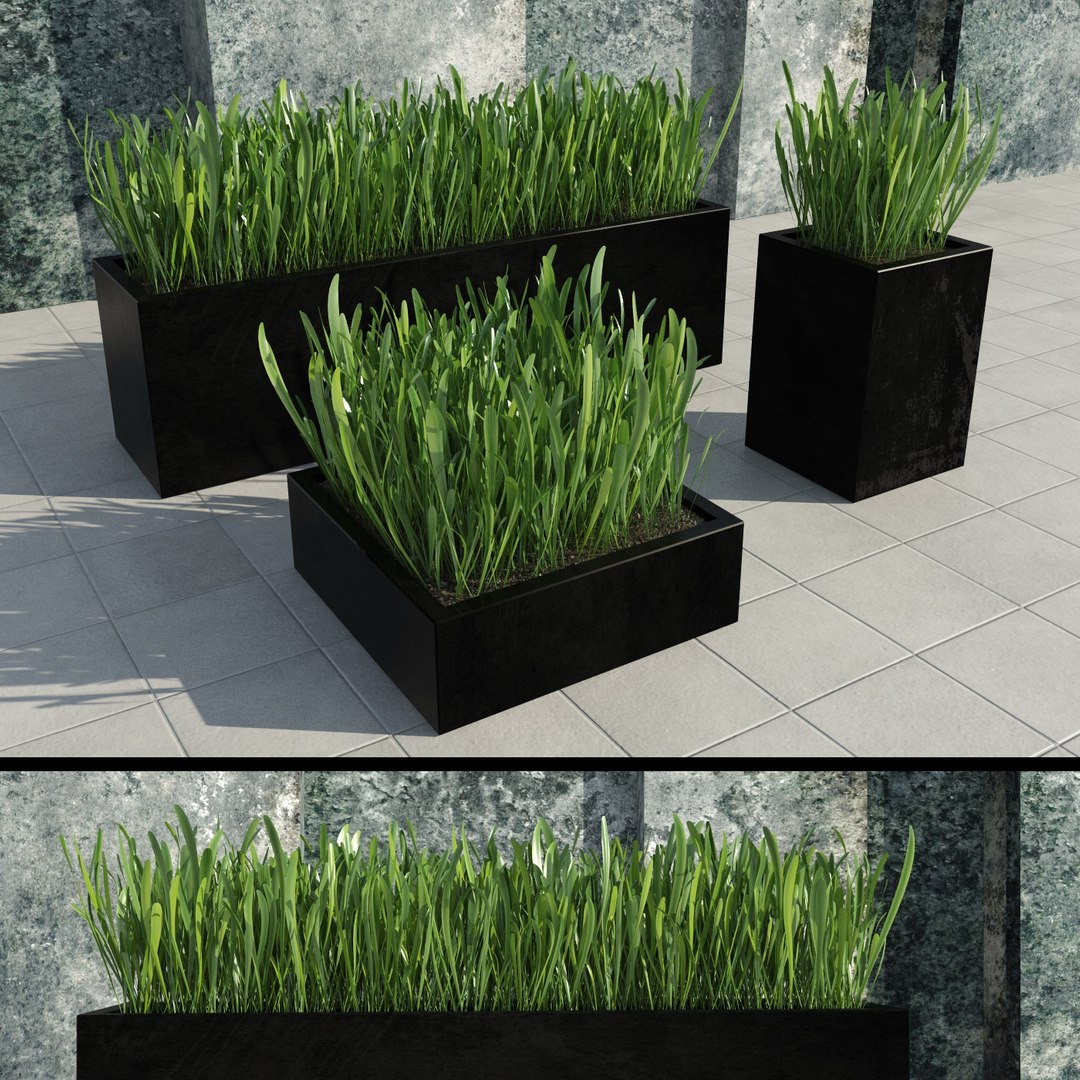3d modern plants 2