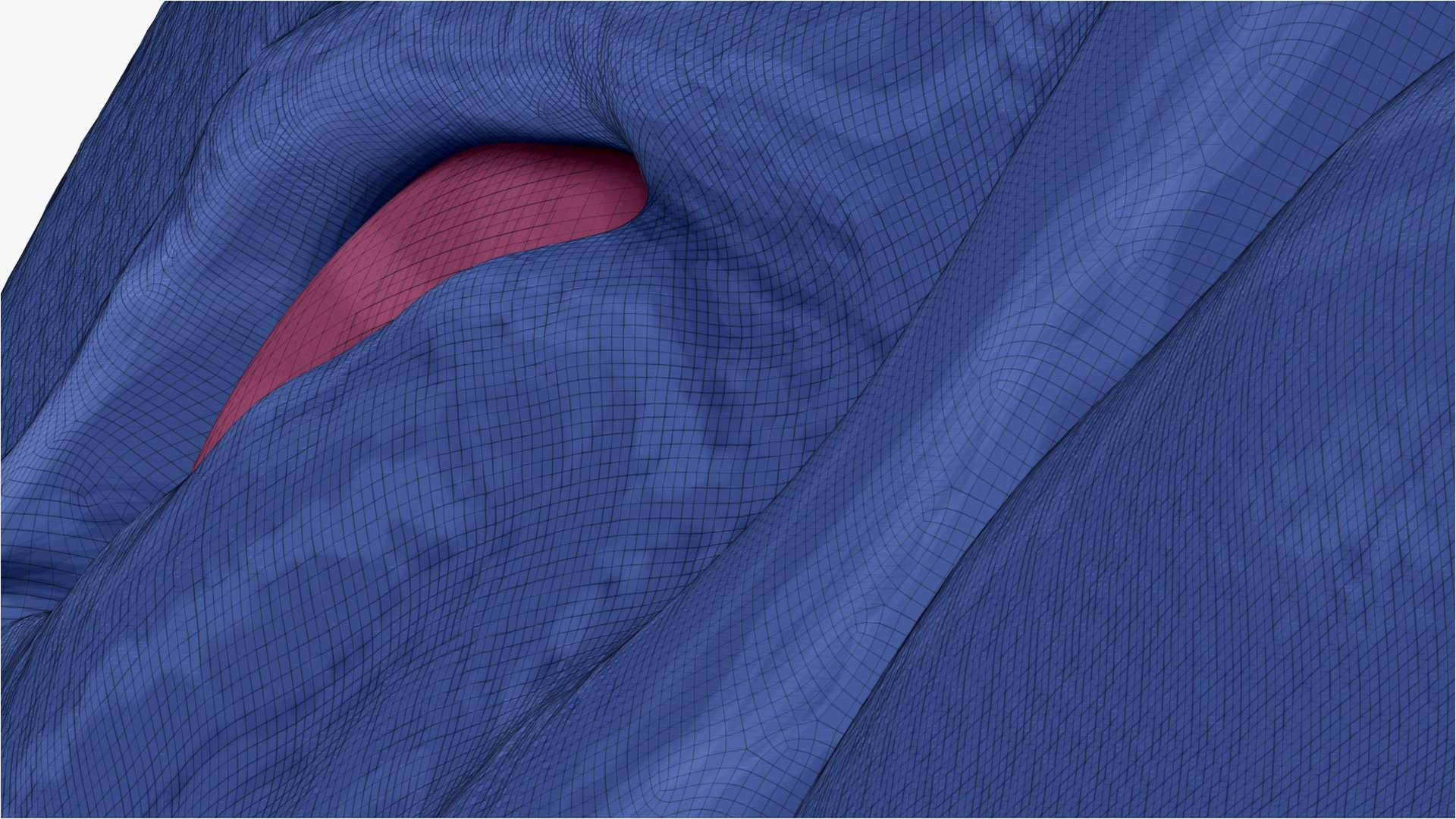 3D Model Blue Whale Sculpt - TurboSquid 1678604
