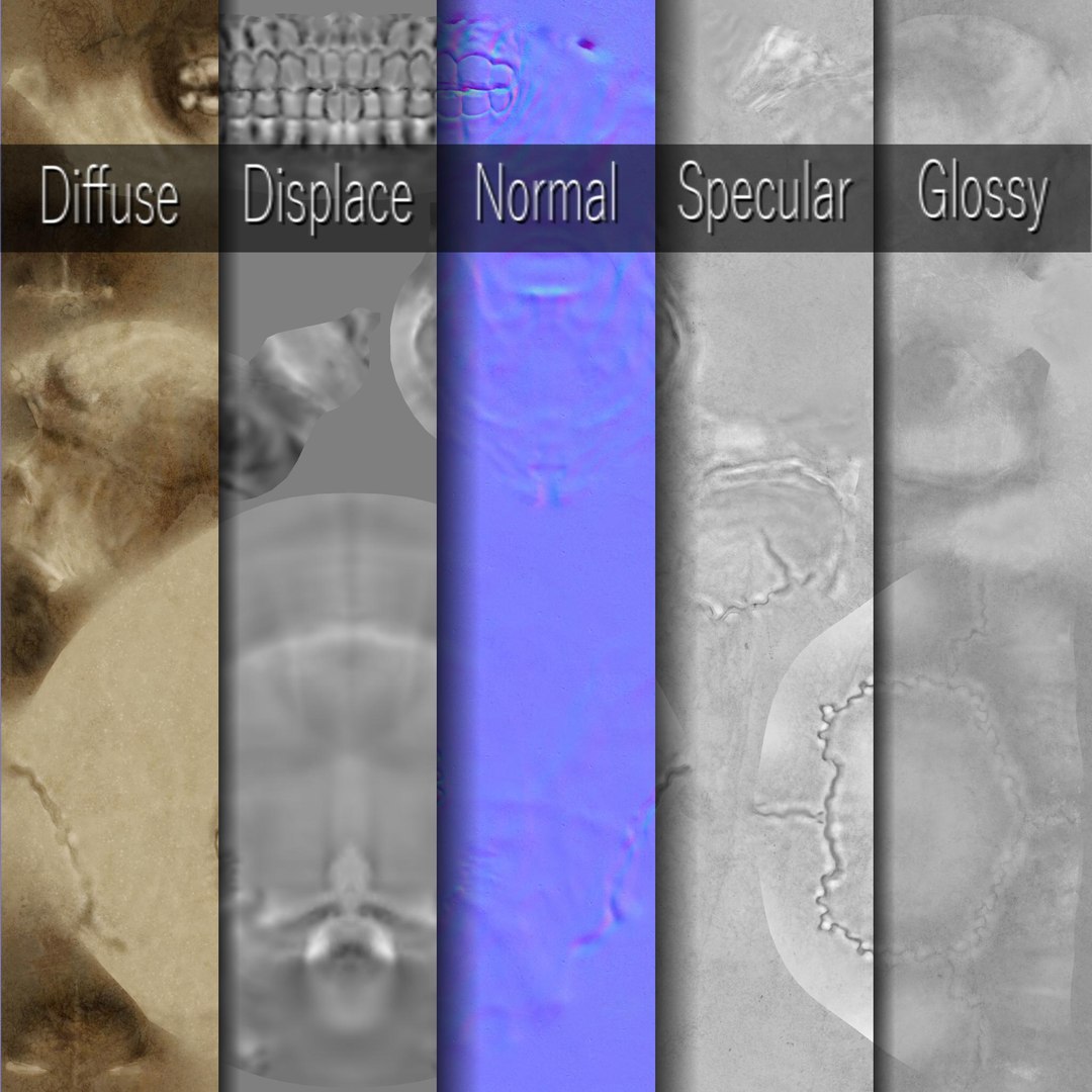 human skull 4 3d model