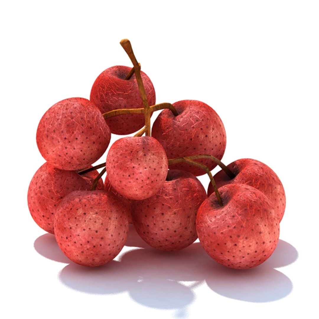 lychee 3d model
