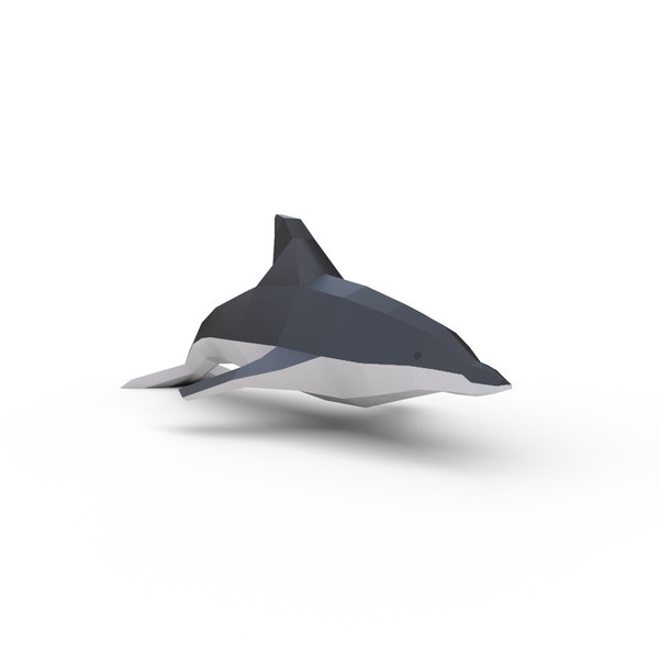 Blender Dolphin Models | TurboSquid