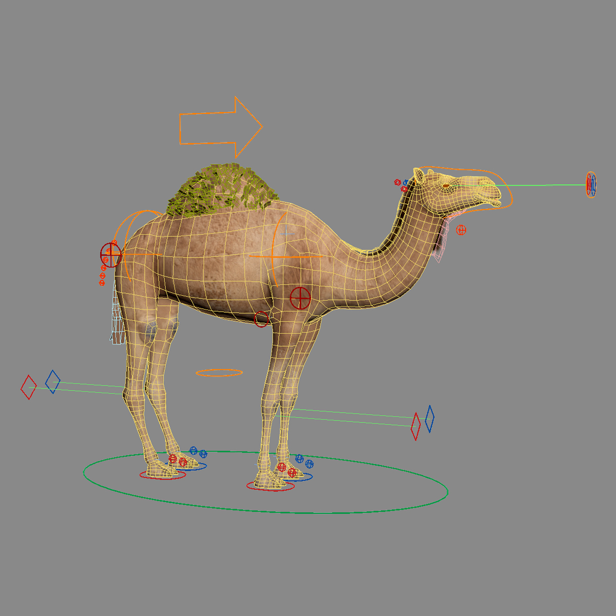 camel animation 3d max