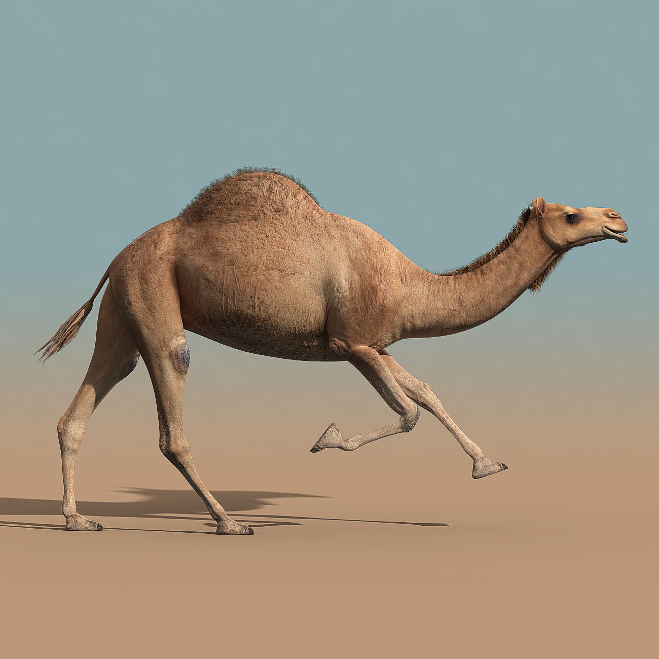camel animation 3d max