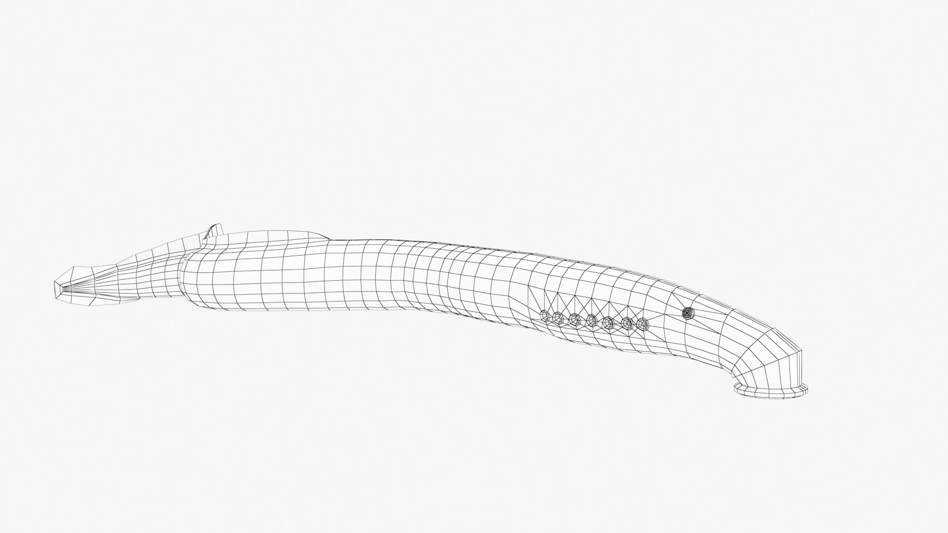 3D Sea Lamprey - TurboSquid 1385205