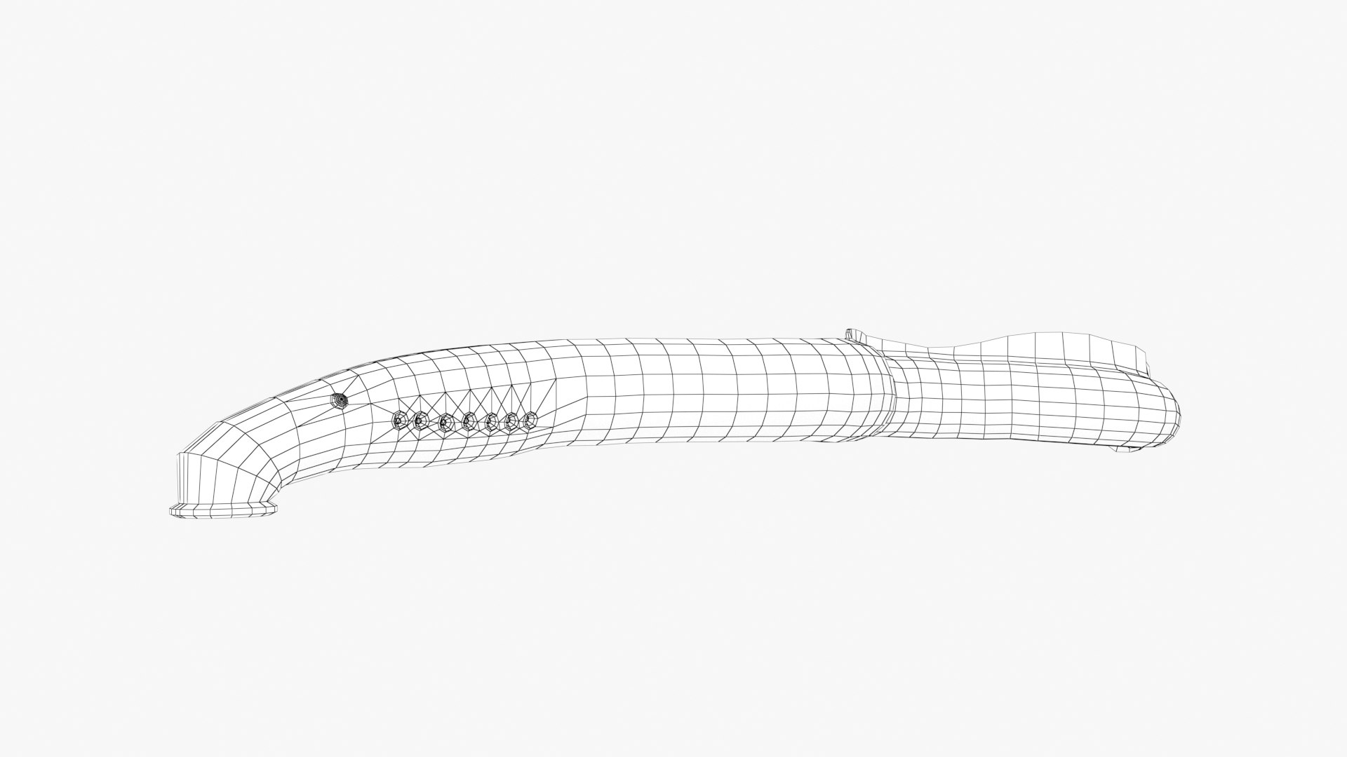 3D Sea Lamprey - TurboSquid 1385205