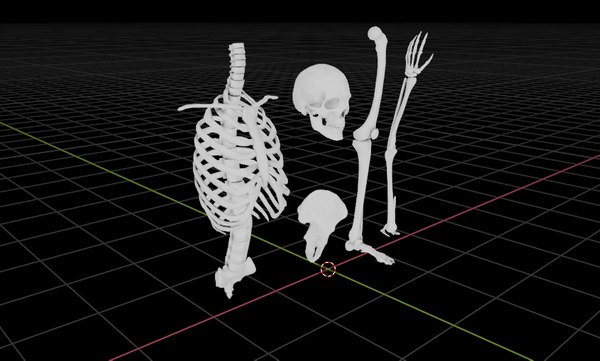 SKELETON 3D MODELS - AR - VR - GAME READY3Dモデル - TurboSquid 1998735