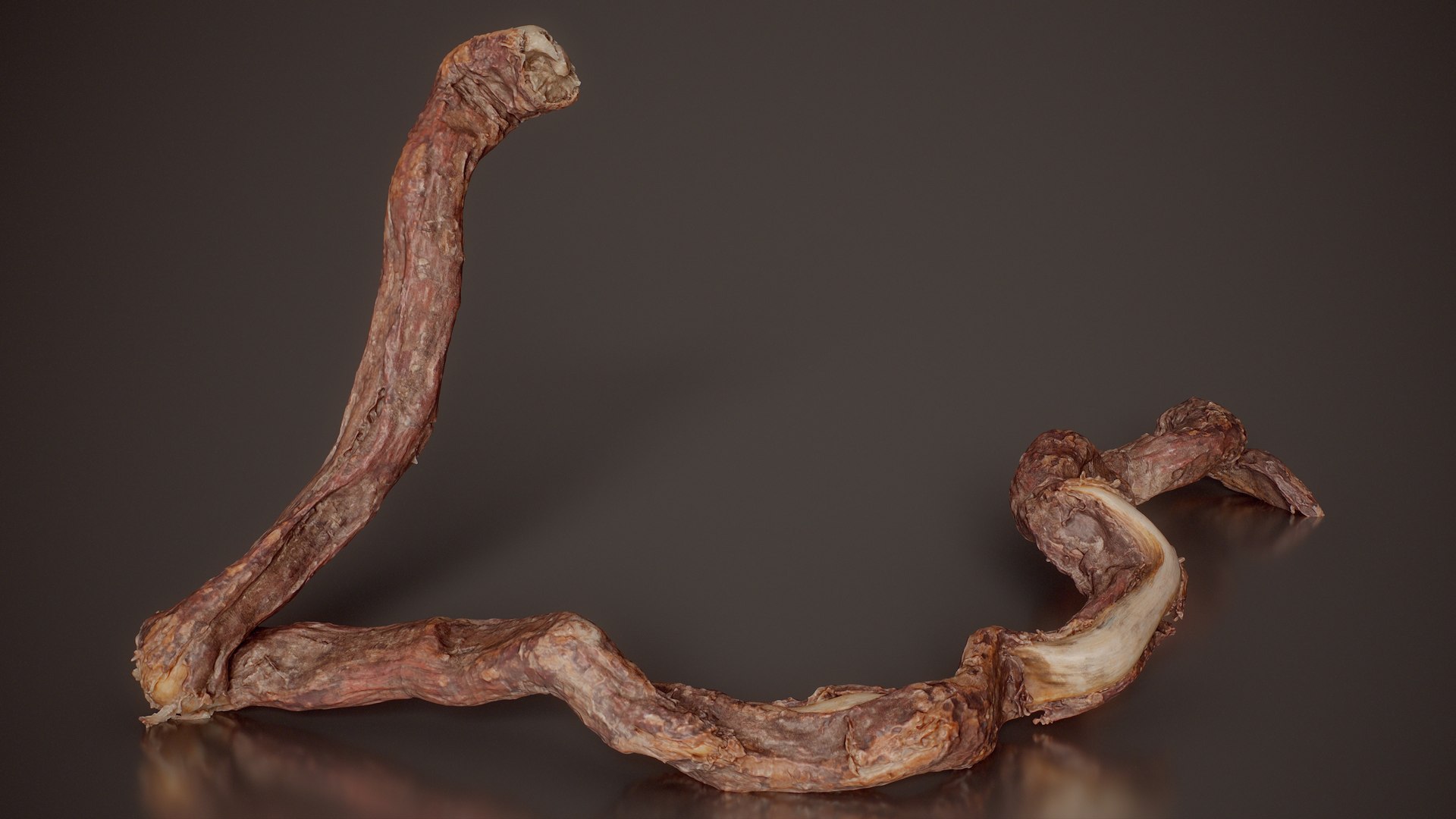 modelo 3d Par de enredaderas retorcidas Vitis trepadora - TurboSquid ...