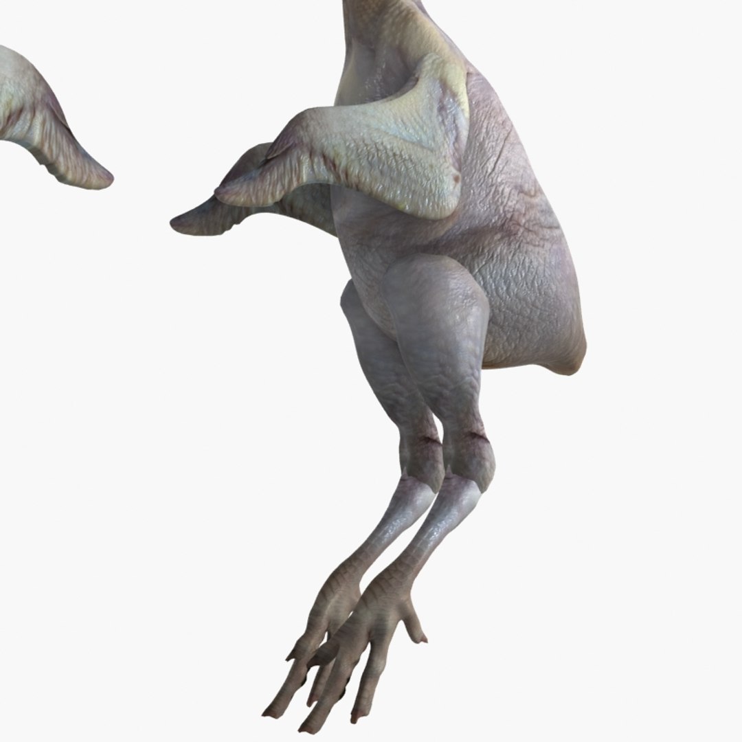 3D Raw Chicken - TurboSquid 1495107