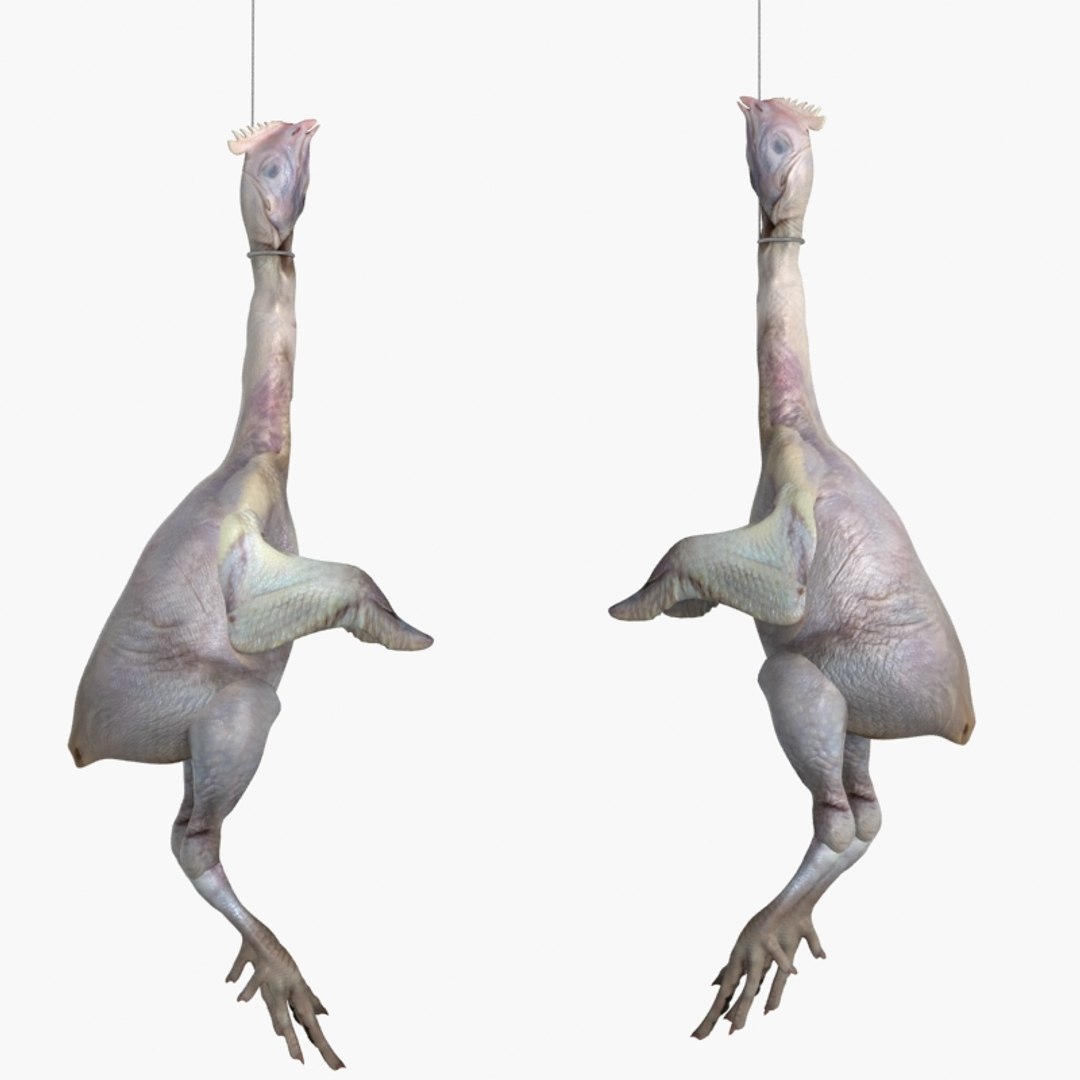 3D raw chicken - TurboSquid 1495107