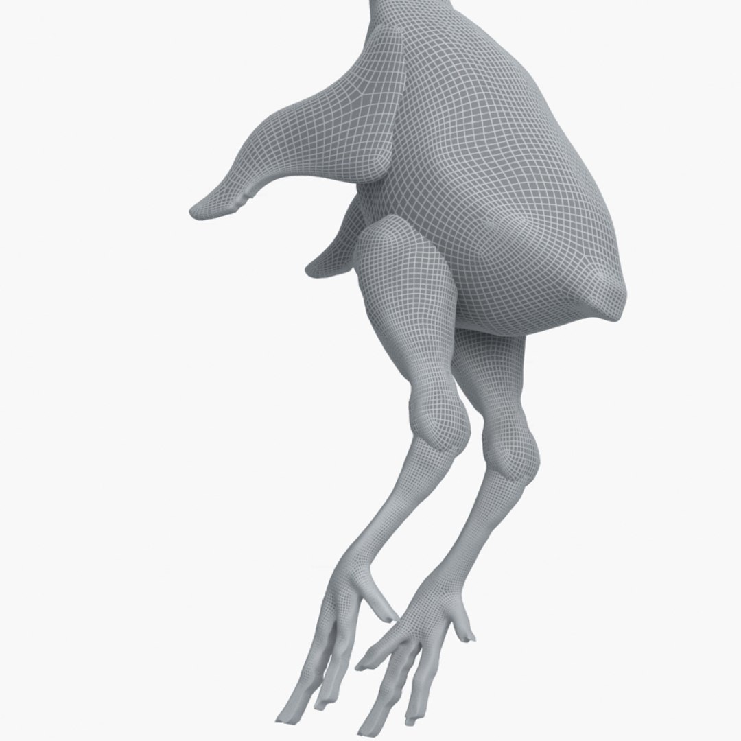 3D Raw Chicken - TurboSquid 1495107