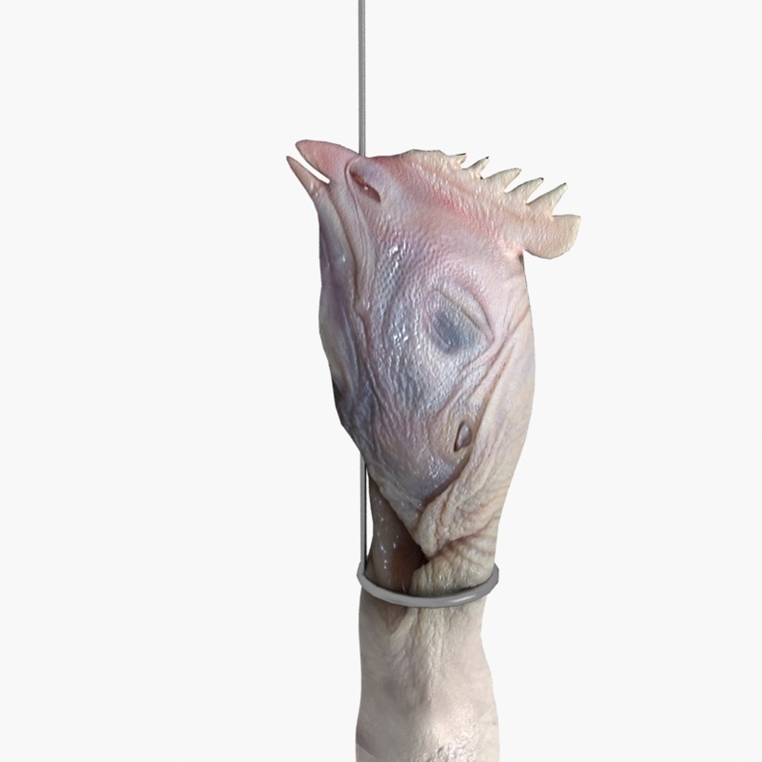 3D Raw Chicken - TurboSquid 1495107